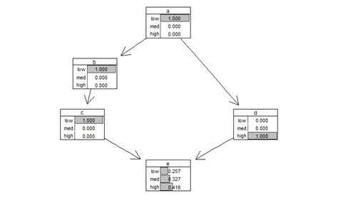 r how do i graph a bayesian network with instantiated nodes using