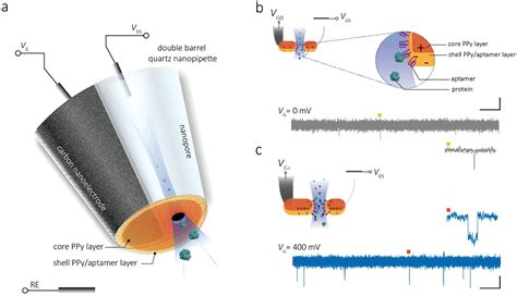 Selective Sensing Of Proteins Using Aptamer Functionalized Nanopore