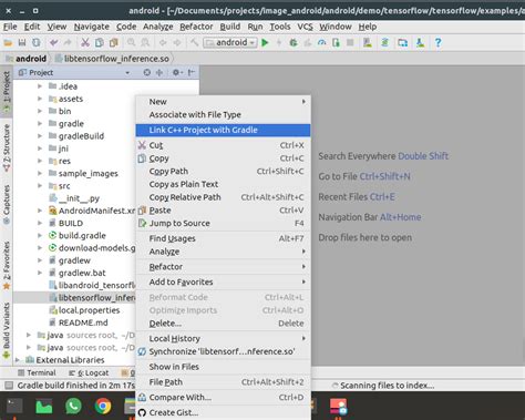 click the libtensorflow inference so and choose link c