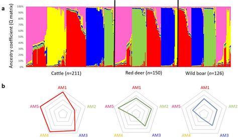Bayesian Cluster Analysis With Detailed Ancestry Coefficient Map A