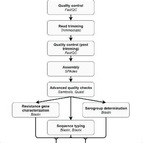 overview of the bioinformatics workflow each box represents a