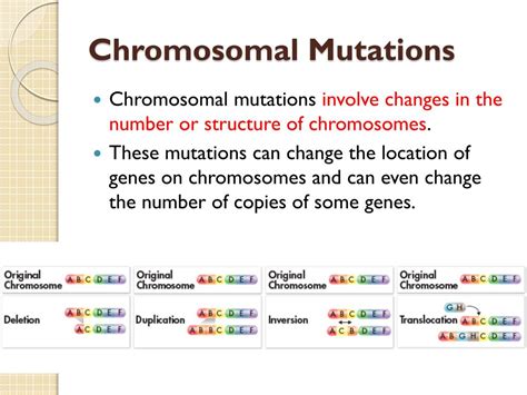 Ppt Human Genetics Powerpoint Presentation Free Download Id 2174978