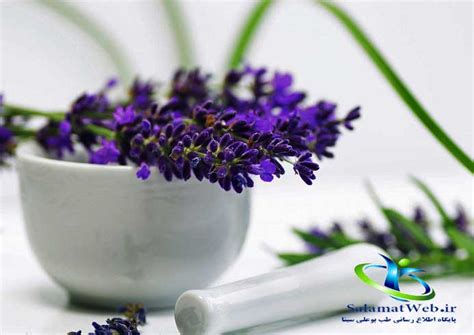 راههای افزایش حافظه و تمرکز داروی گیاهی برای افزایش تمرکز و حافظه