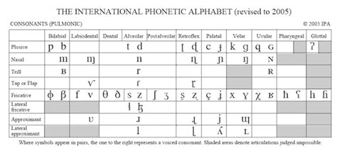 International Phonetic Alphabet Ipa Overview And Chart