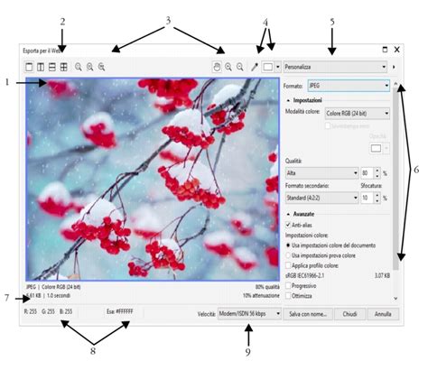 coreldraw guida esportazione di bitmap per il web