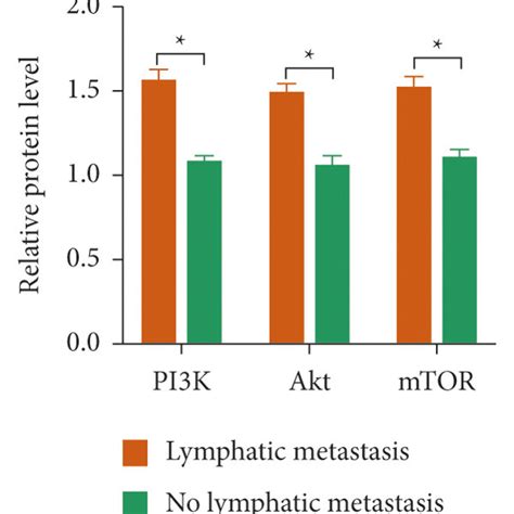 The Levels Of Phosphatidylinositol 3 Kinase Pi3k Pathway Proteins In
