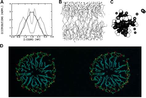 Frontiers A Brief History Of Visualizing Membrane Systems In