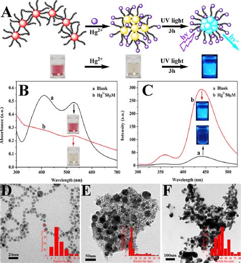 A Strategy For Hg 2 Detection Using Fa Agnps Colorimetry B Uv Vis
