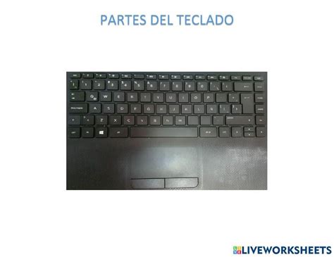 Partes Del Teclado Interactive Exercise Live Worksheets