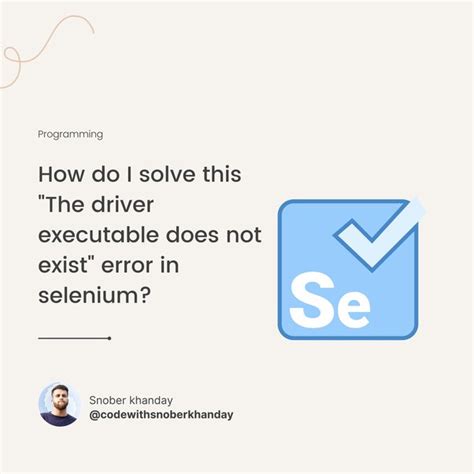 how to solve this the driver executable does not exist error in
