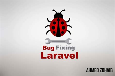 develop customize php laravel website laravel bugs fix by