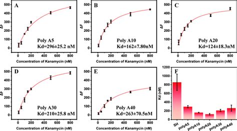 Binding Affinity Analysis Of Di Block Oligonucleotide Modified