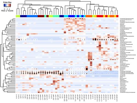 Heatmap Showing Hierarchical Clustering Of Bacterial Composition