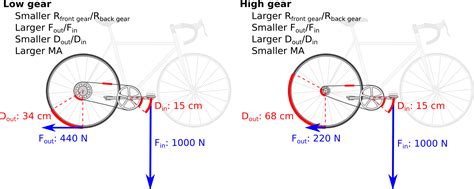 Gears For Speed Bike At Genevieve Bauer Blog