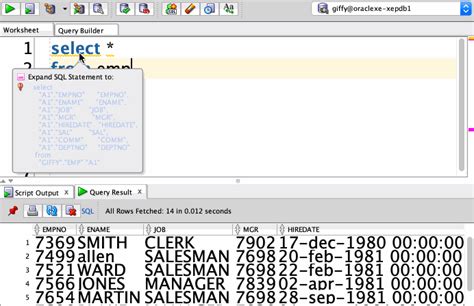 how to execute queries in sql developer talkapex