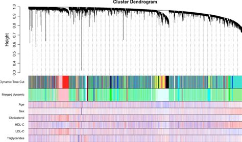 Clustering Dendrogram Of Genes Gene Clustering Tree Dendrogram