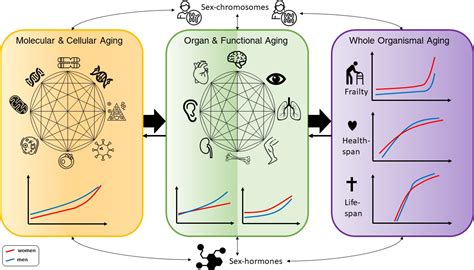 figures and data in sex differences in biological aging with a focus on
