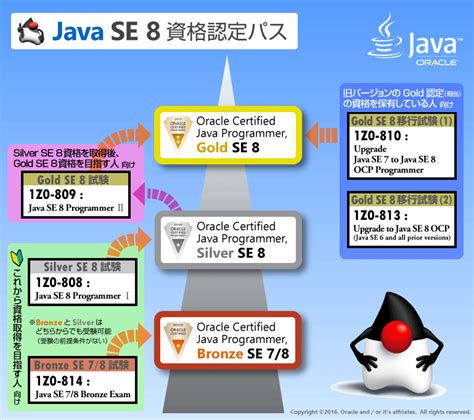 jungle maps map replaceall java 8
