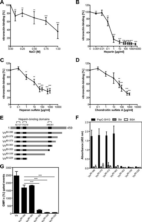 C Terminal Heparin Binding Domain Of Vitronectin Mediates Binding To