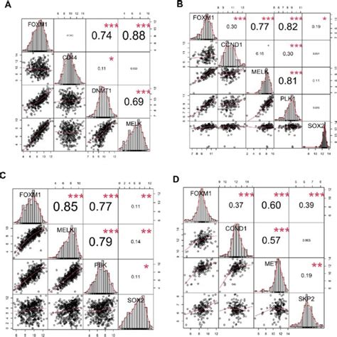 Pearson Correlation Analysis Of Foxm1 With Other Stem Cell Markers