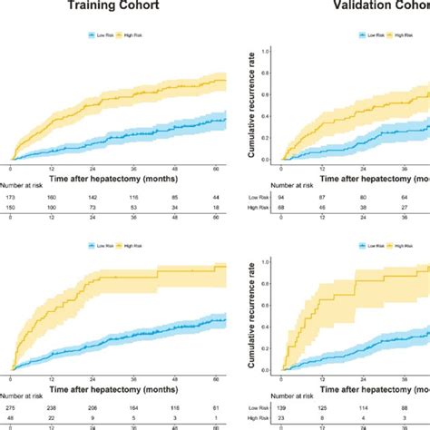 Cumulative Rates Of Tumor Recurrence Stratified By The Risk