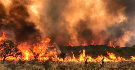 Continúan Los Incendios Con Tres Focos Activos Y Más De 10 000