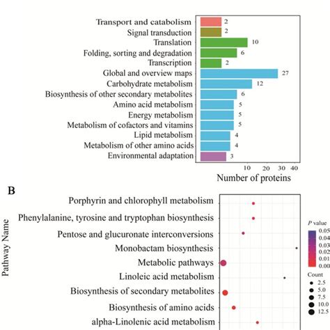A Kegg Classification Of The Differentially Expressed Proteins Involved