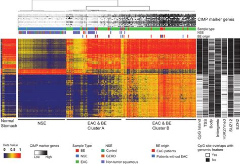 Unsupervised Clustering Of 125 Eac 19 Be And 85 Nse Nse Includes 64