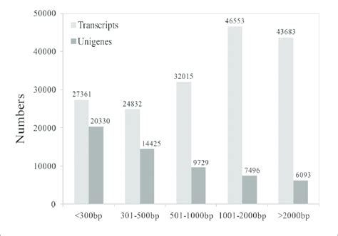 The Length Distribution Of Unigenes And Transcripts Download