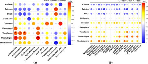 A Spearman Correlation Between Dominant Bacteria At The Phyla Level