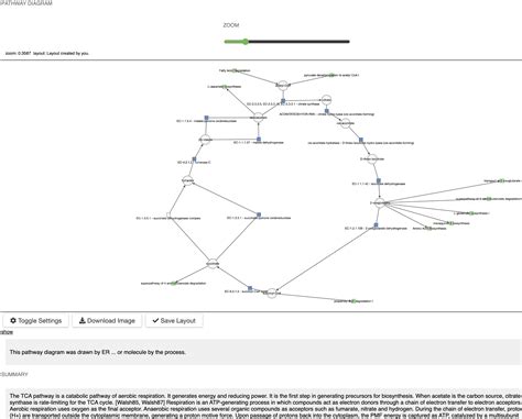 New Ergo Feature Metacyc Ecocyc Biocyc Pathway Database Integration