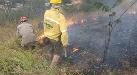 Incêndios No Pantanal Motivam Estado De Emergência Em 14 Cidades No Ms