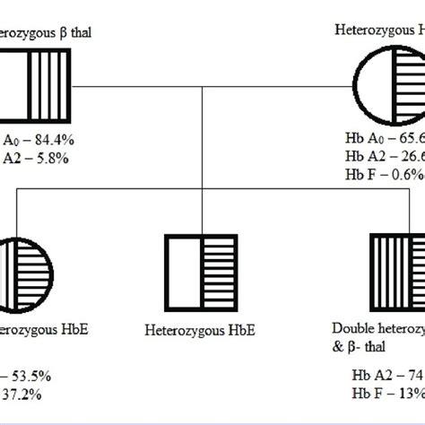 Pdf Analysis Of Double Heterozygous Haemoglobinopathies From A