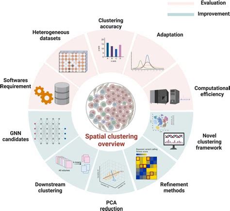 A Comprehensive Overview Of Graph Neural Network Based Approaches To