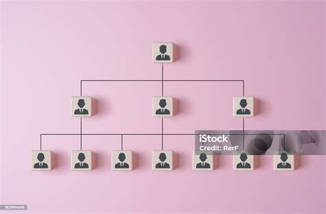 Photo Libre De Droit De Organigramme Carte Mentale Ou Organigramme