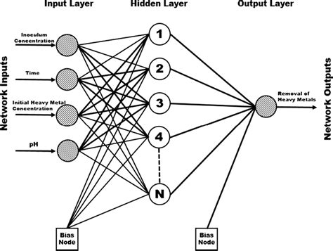 Schematic Diagram For Ann Model Download Scientific Diagram