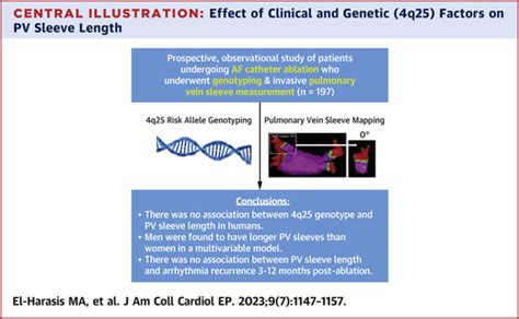 Pulmonary Vein Myocardial Sleeve Length And Its Association With Sex