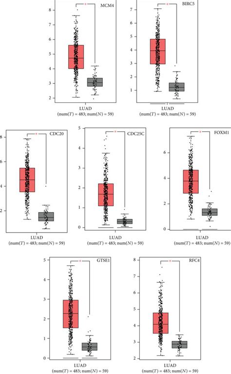 The Expression Level Of Hub Genes Between Luad And Normal Lung Tissue