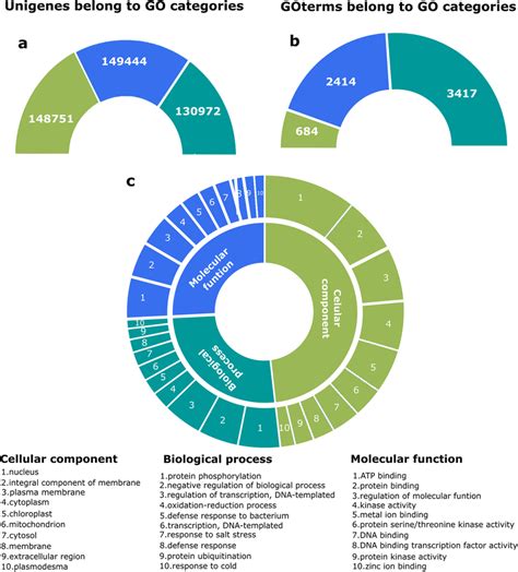 Gene Ontology Functional Characterization Of C Draco Unigenes