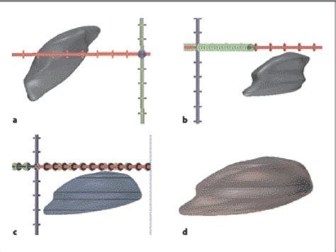 Figure 1 From Quantification And Visualization Of The Three Dimensional