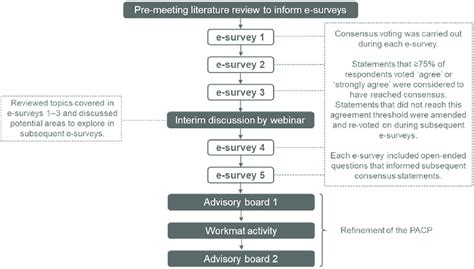 the modified delphi process used by personalising acne consensus of