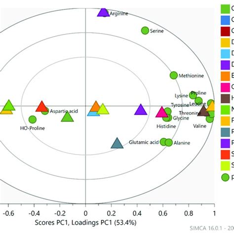 Principal Component Analysis Pca Multivariate Projection Score And