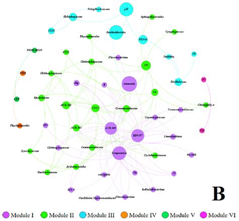 The Network Analysis Showing The Co Occurrence Patterns Between