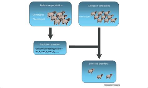 Gs Bioinformatics