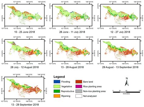 Remote Sensing Free Full Text Automatic Mapping Of Rice Growth