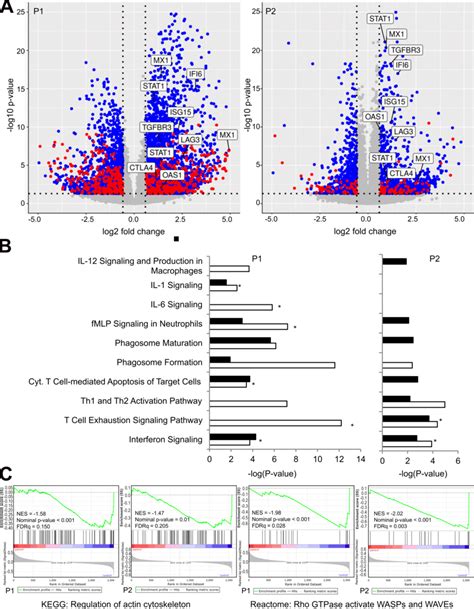 Transcriptomic And Proteomic Analyses A Volcano Plots Showing Up