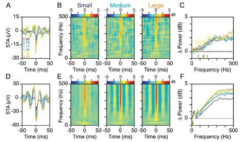 Spike Triggered Average In Time Frequency Domain During Stimulus