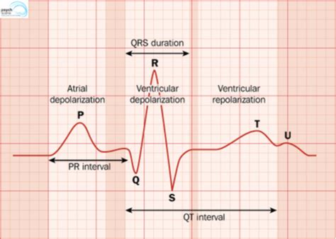 Qtc Normal Range