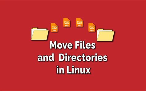 how to move files and directories in linux using terminal techsphinx