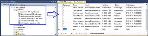 asp core mvc crud usando leiaute adminlte